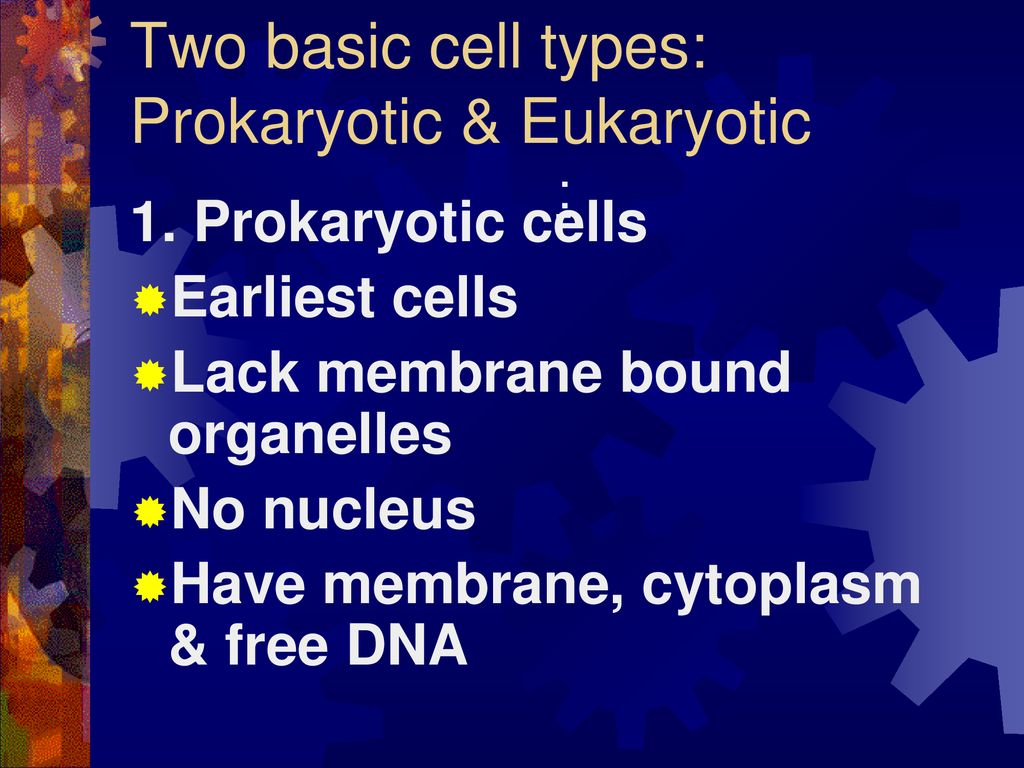 Cell Structure and Function - ppt download Cell Structure and Function - ppt download