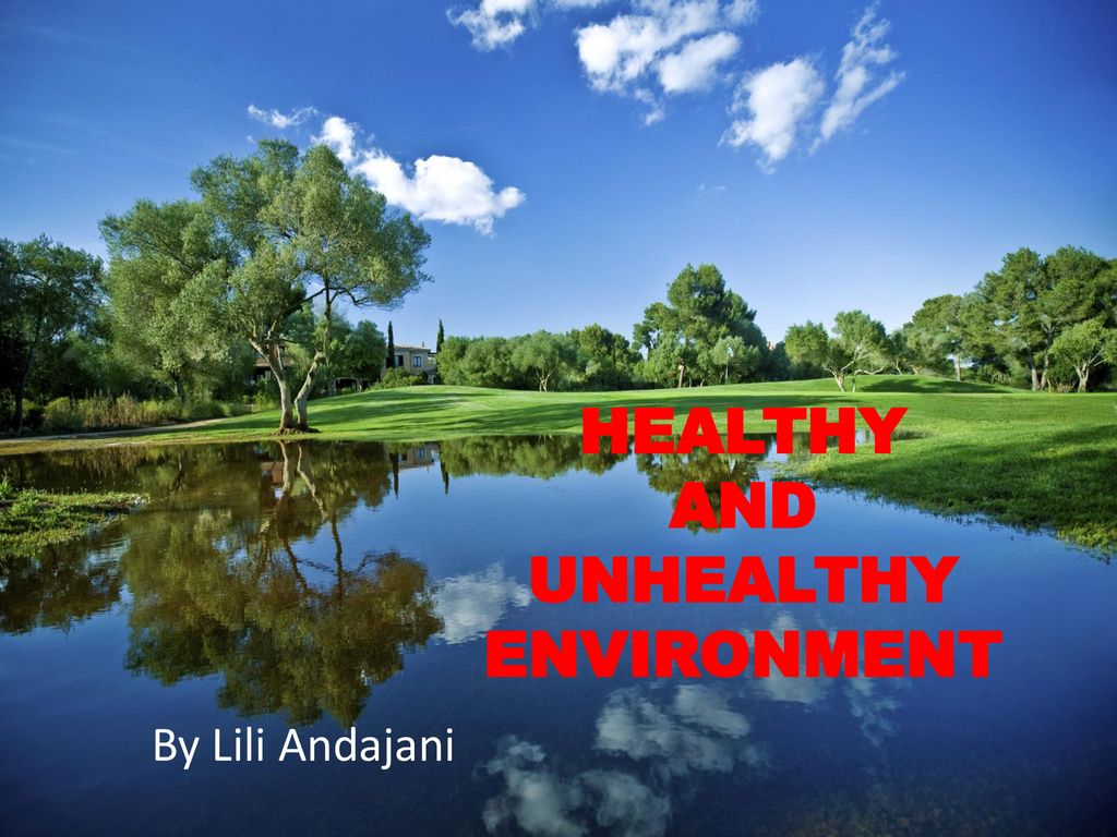 Healthy And Unhealthy Environment Ppt Download