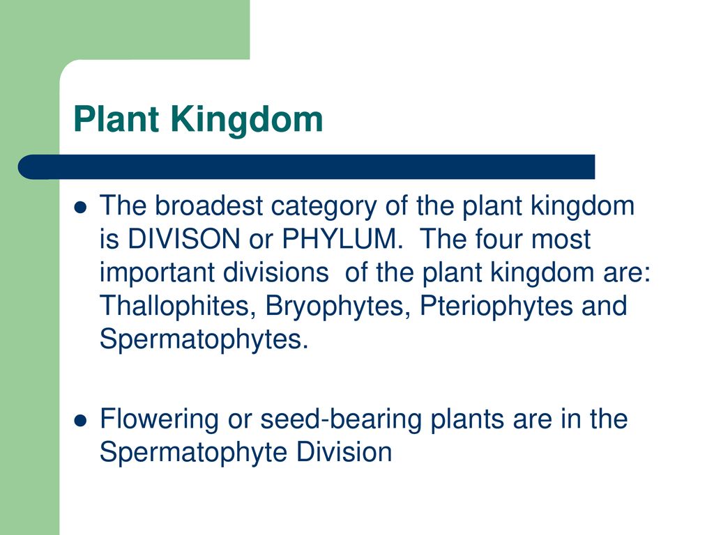 017.01: Classify plants using the scientific classification system ... 017.01: Classify plants using the scientific classification system ...