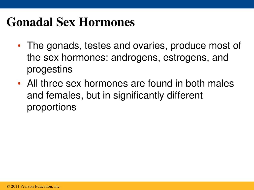 Hormones And The Endocrine System Ppt Download