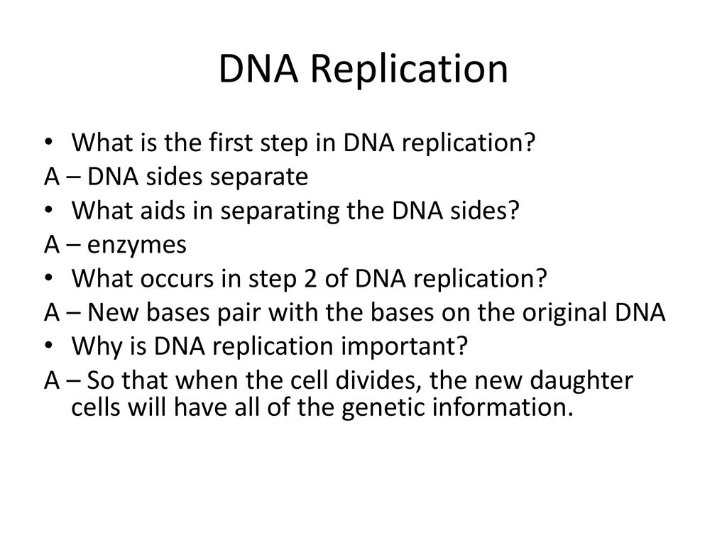 Mitosis And Asexual Reproduction Ppt Download