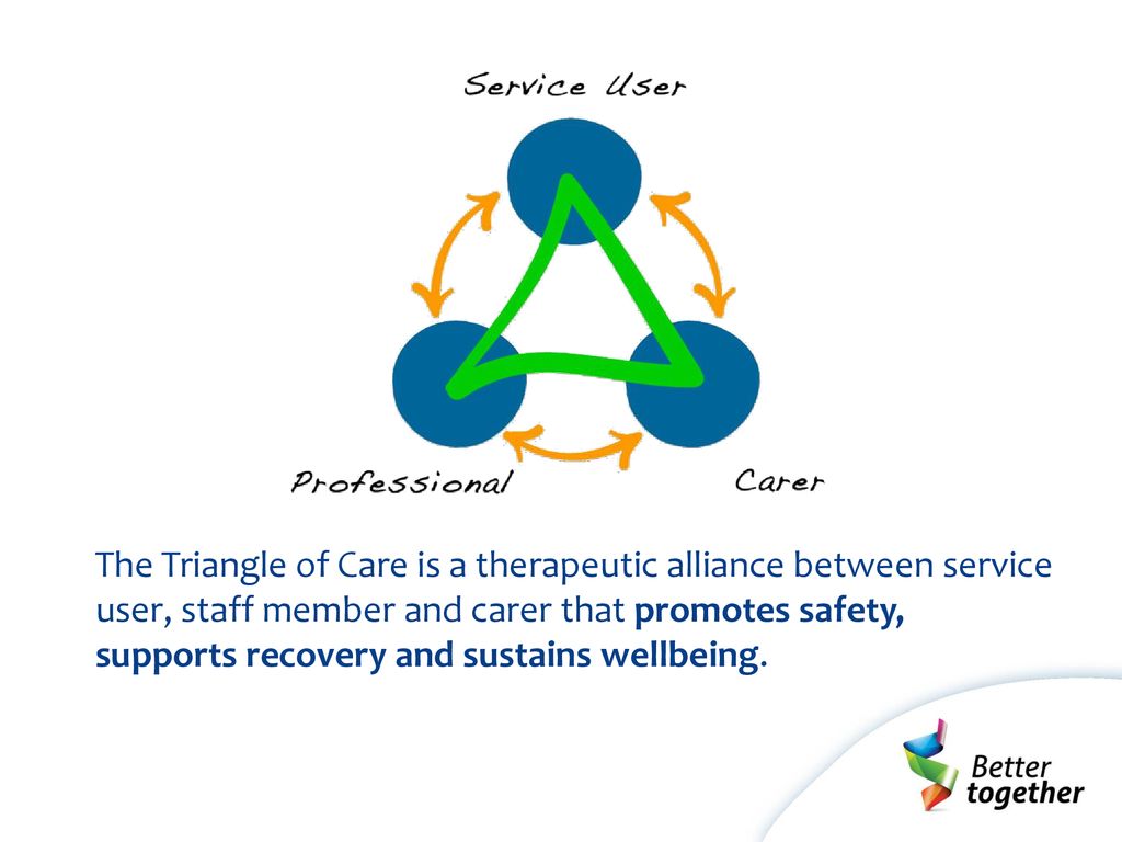 The Triangle Of Care Carers Included Ppt Download