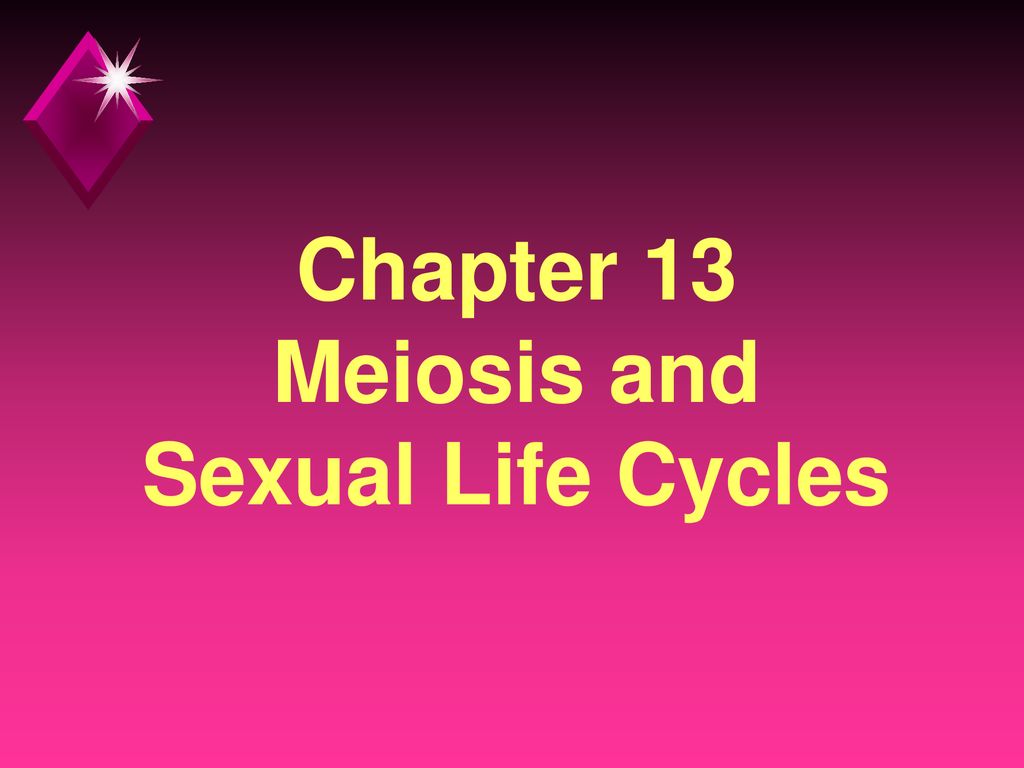 Chapter 13 Meiosis And Sexual Life Cycles Ppt Download
