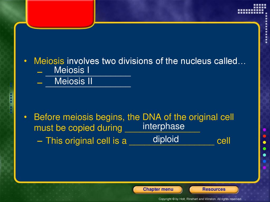 Chapter 11 4 Meiosis And Sexual Reproduction Ppt Download