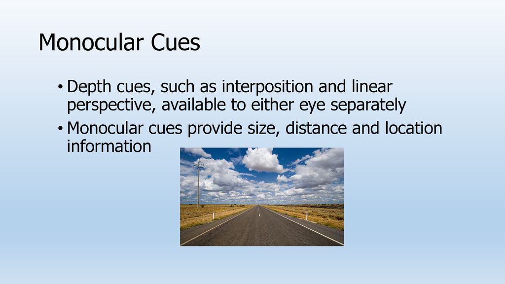 Monocular Cues Linear Perspective