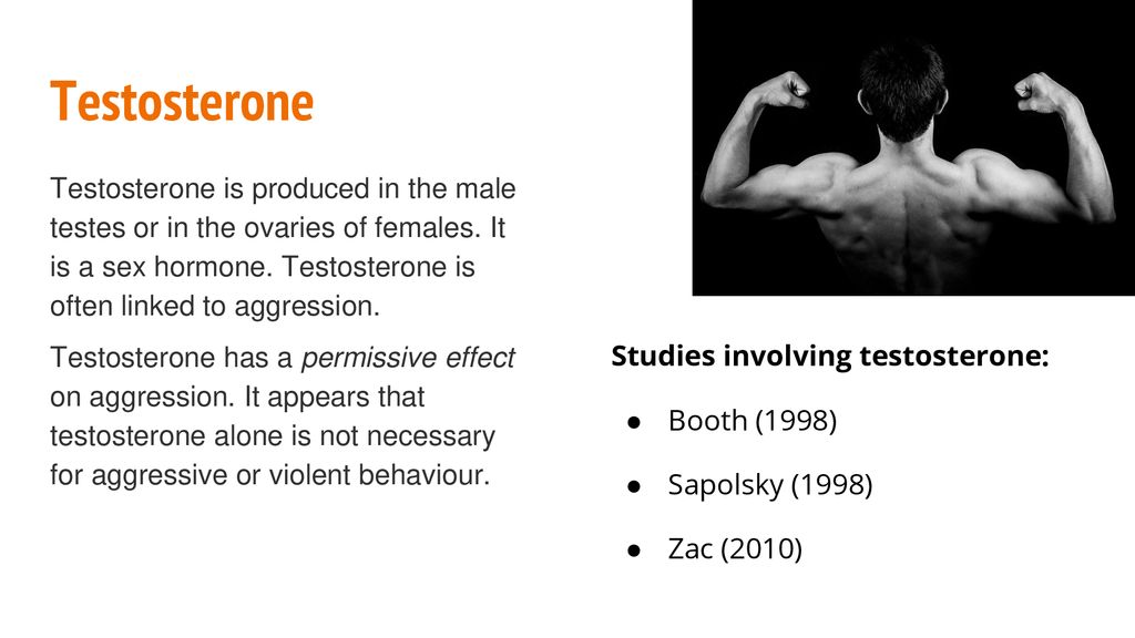 Hormones And Behavior September 27 Ppt Download