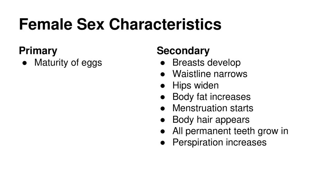The Life Cycle Continues Ppt Download