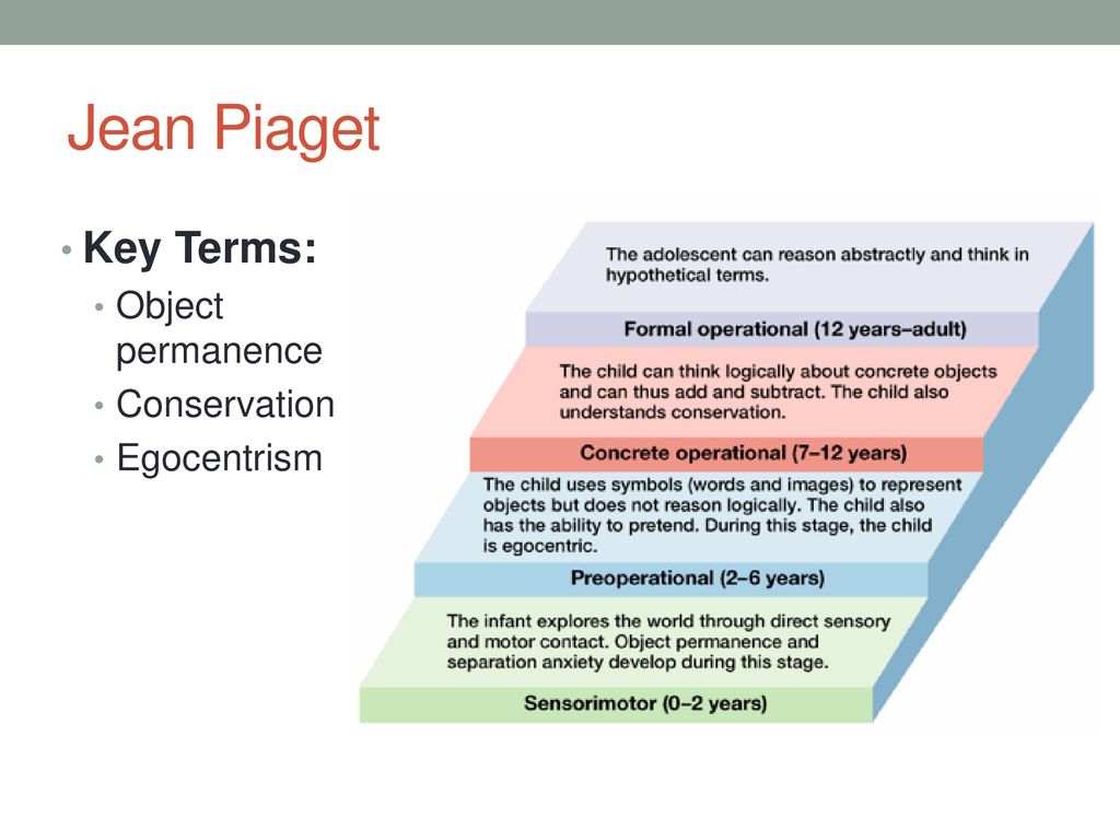 Piaget Theory PowerPoint And Google Slides Template PPT, 59% OFF Piaget Theory PowerPoint And Google Slides Template PPT, 59% OFF