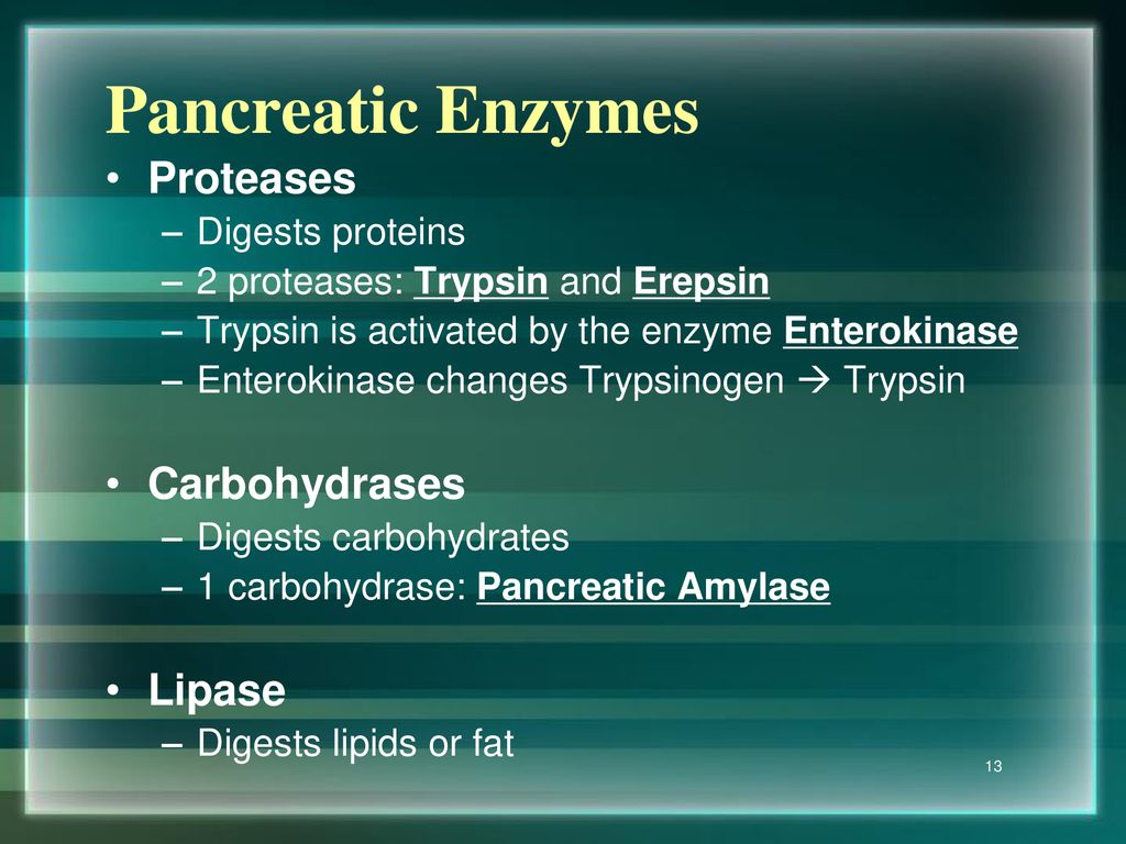 Digestion Chapter 8 Section Ppt Download