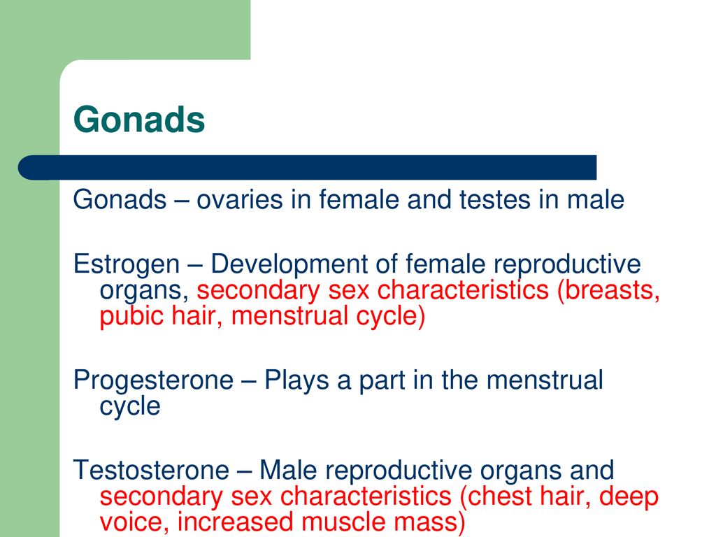Endocrine System Ppt Download