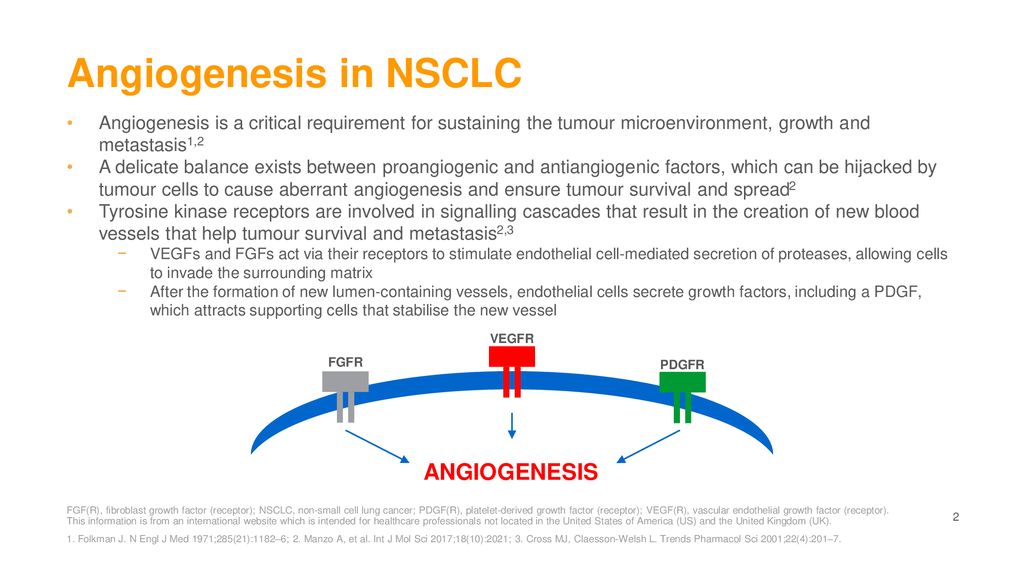 Nintedanib Preclinical Data Ppt Download