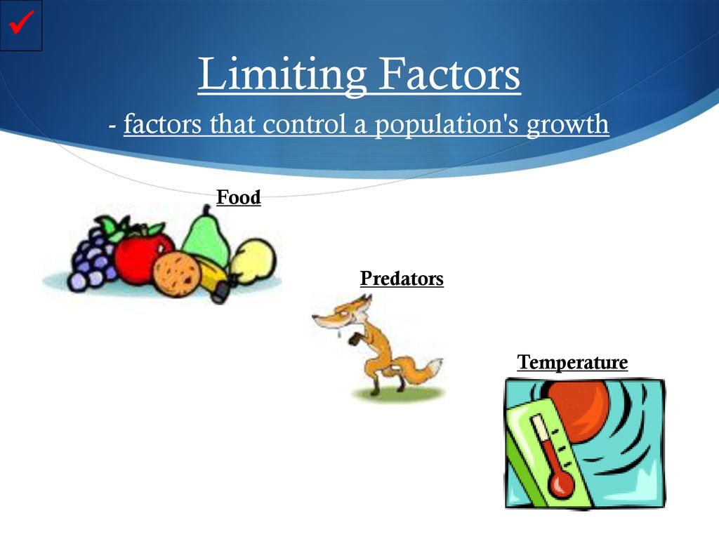Limiting Factor With Animals Limiting Factor With Animals