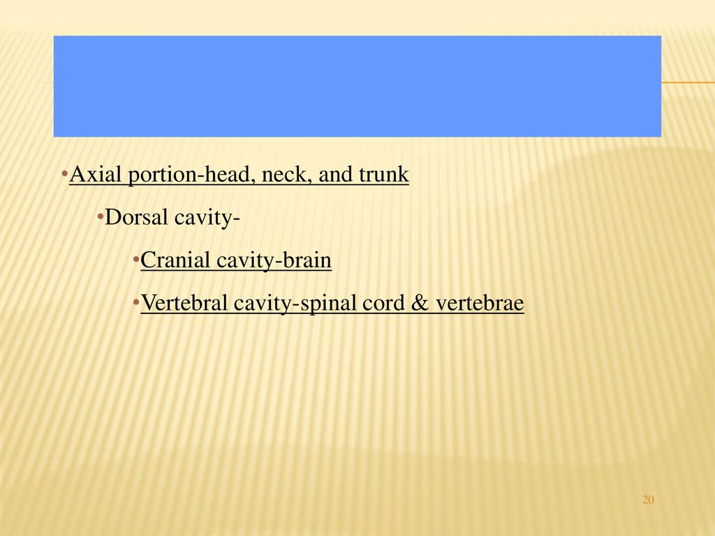 Chapter ppt download