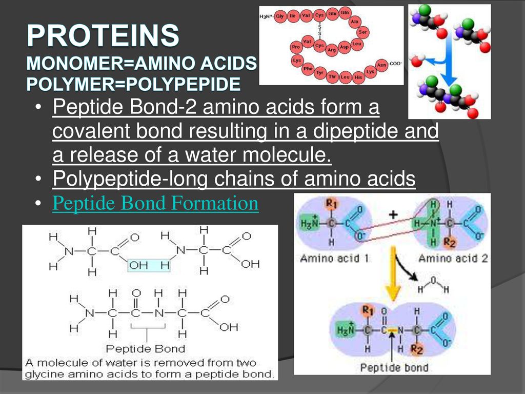 Biochemistry Ppt Download