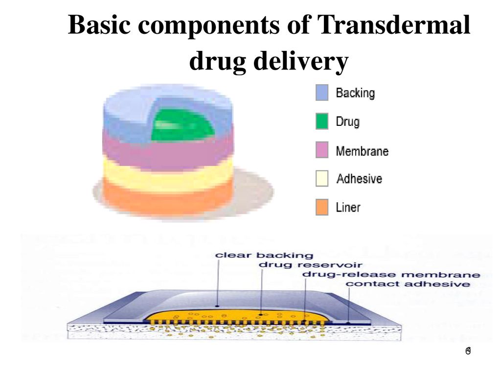 Transdermal Drug Delivery Systems Ppt Download