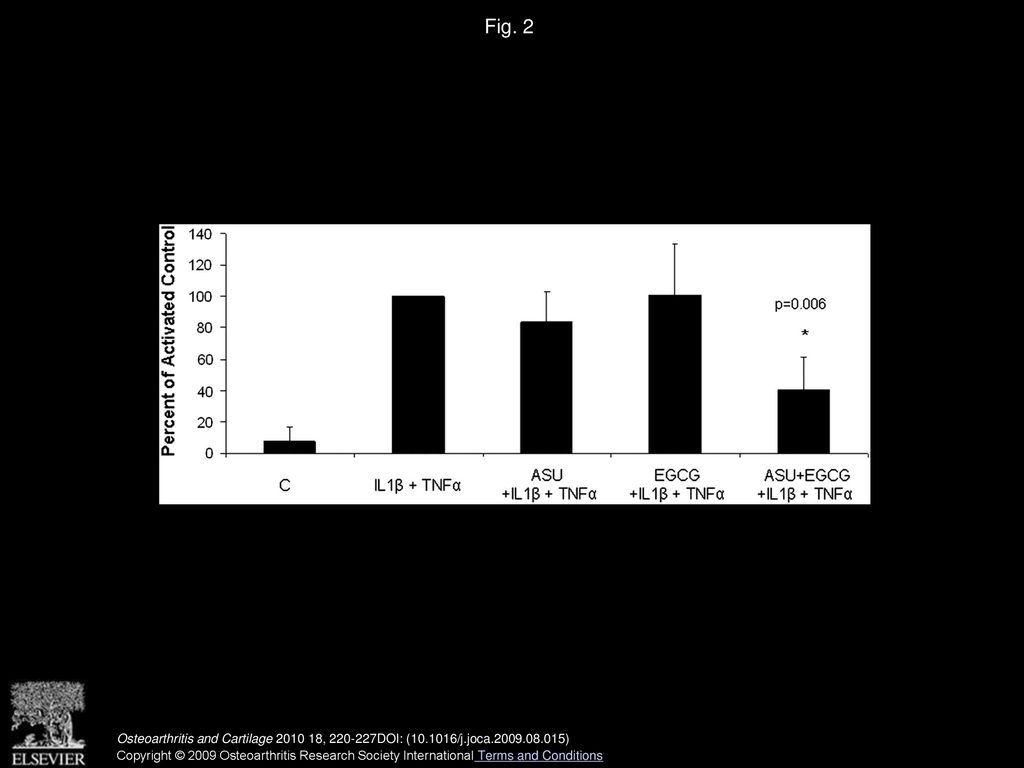 Inhibition Of Cyclooxygenase 2 Expression And Prostaglandin E2