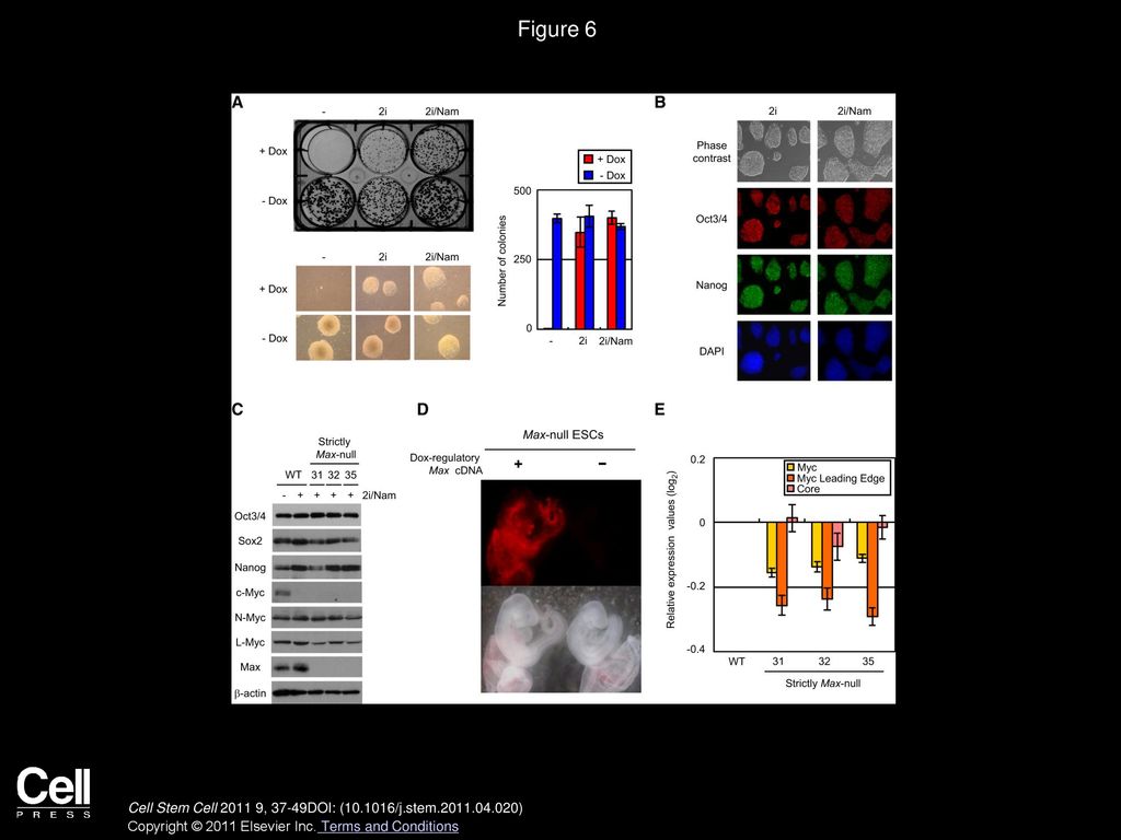 Volume 9, Issue 1, Pages (July 2011) - ppt download Volume 9, Issue 1, Pages (July 2011) - ppt download