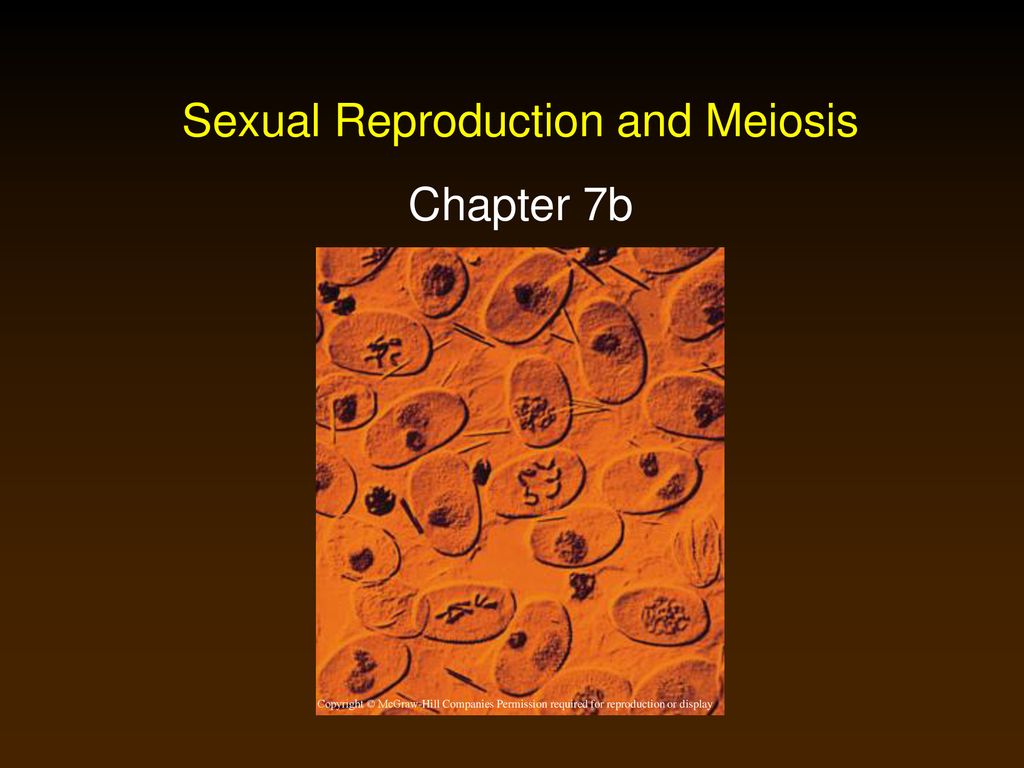 Sexual Reproduction And Meiosis Ppt Download