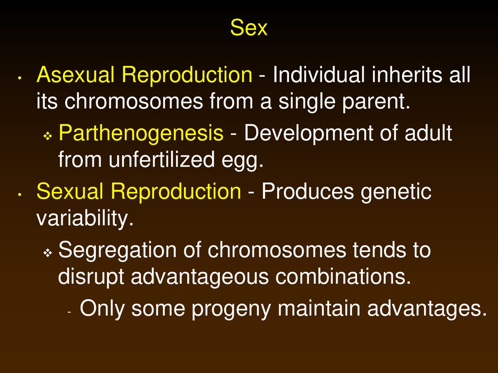 Sexual Reproduction And Meiosis Ppt Download