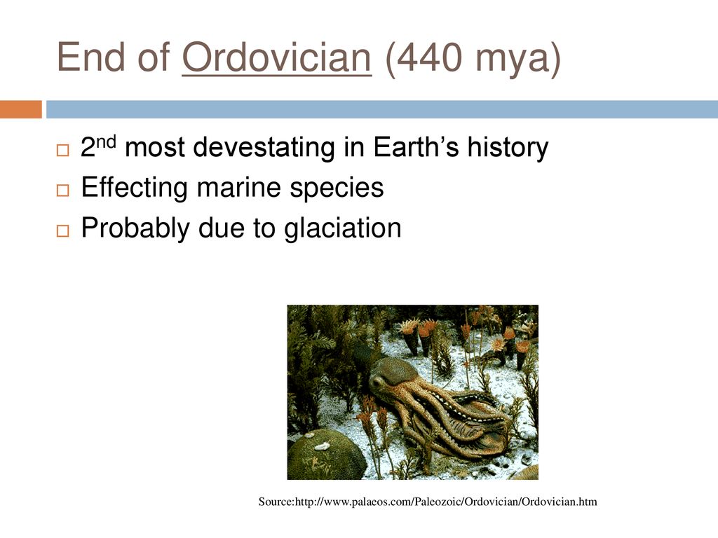 Origins of Biodiversity - ppt download
