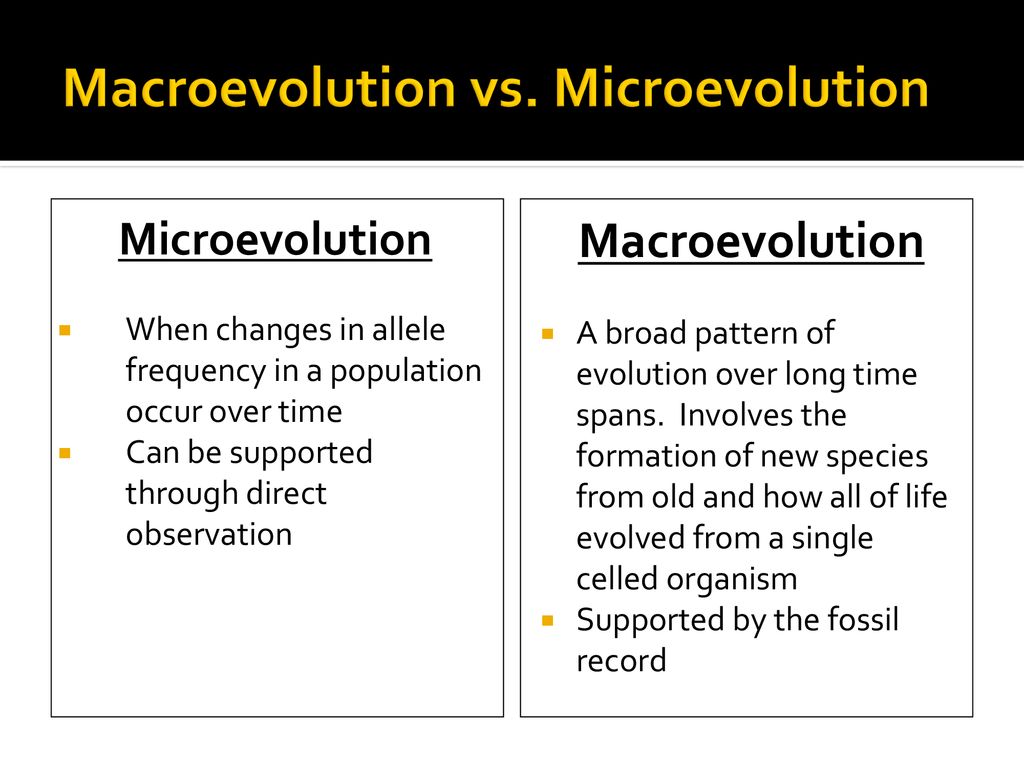 Microevolution Vs Macroevolution Venn Diagram Macroevolution