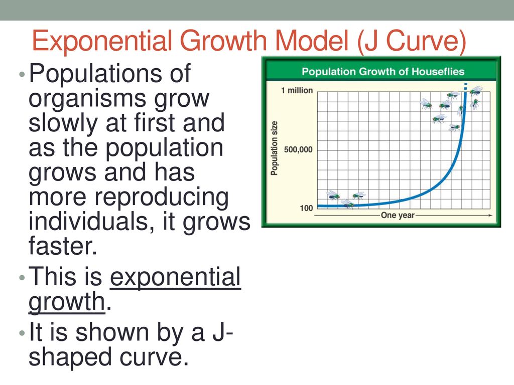 Community Ecology Chapter Ppt Download