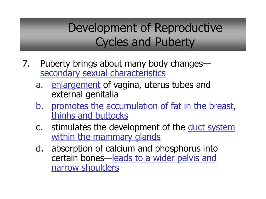 Physiology Of Female Reproduction Ppt Download