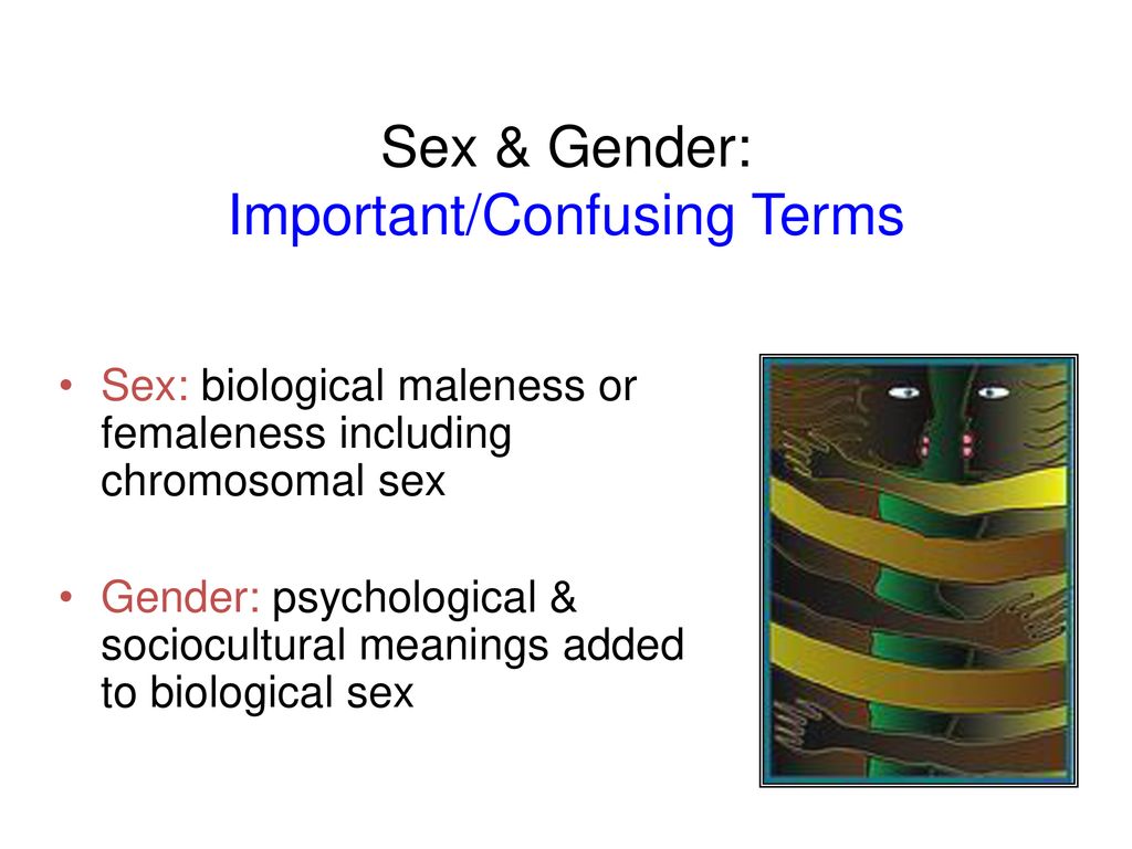 Human Development Ppt Download