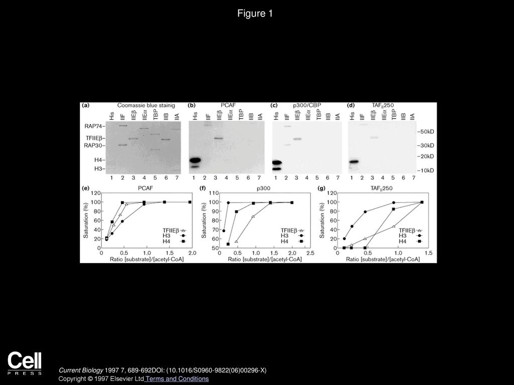 Volume 7 Issue 9 Pages September 1997 Ppt Download