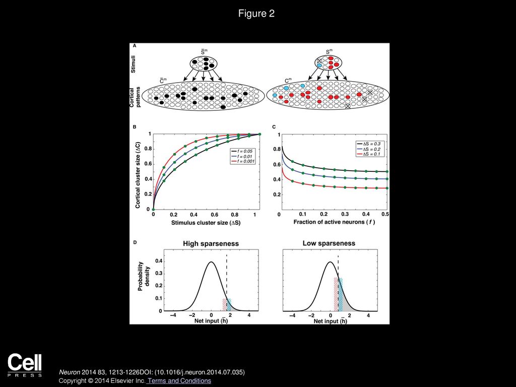 Sparseness And Expansion In Sensory Representations Ppt Download