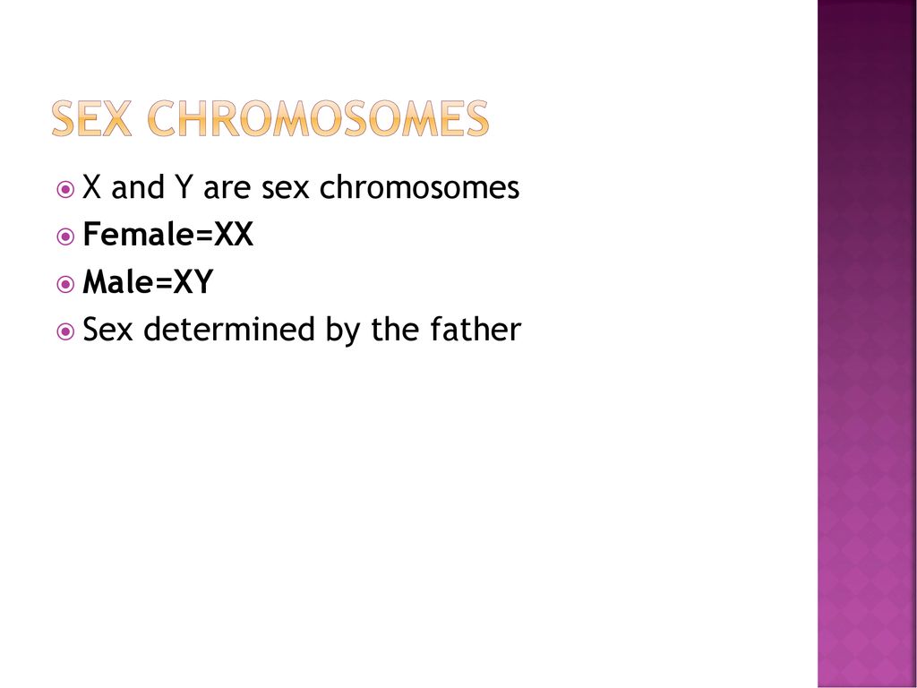 Heredity Ppt Download