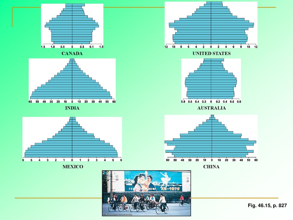 Age Sex Pyramids Show The Proportion Of The Population Or Of Each Sex