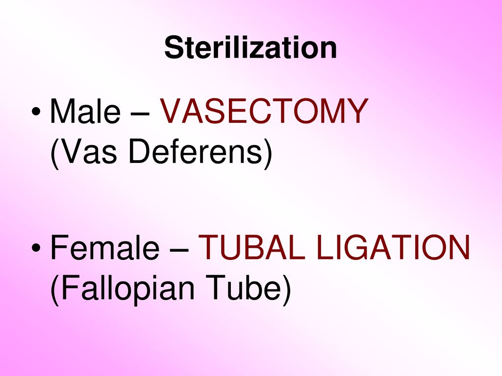 Unit Q Reproductive System Ppt Download