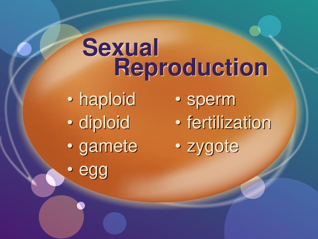 Cells Have Membranes Have Cytoplasm And Organelles Ppt Download