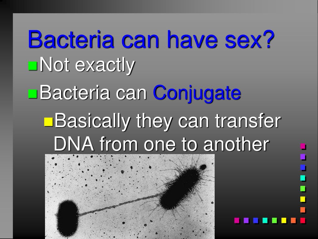 Bacteria Small And Successful Ppt Download