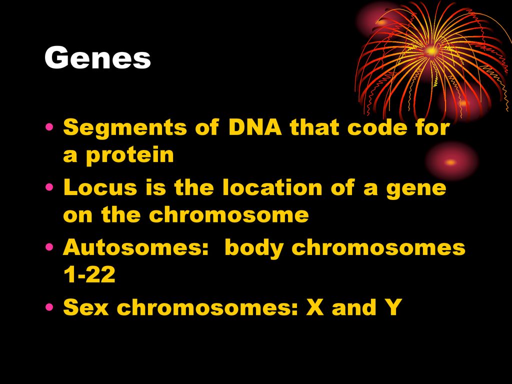 Heredity Review Chapters Ppt Download