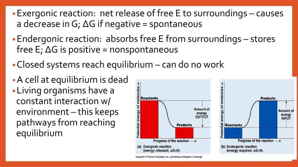Ecosystems Energy And Matter Ppt Download