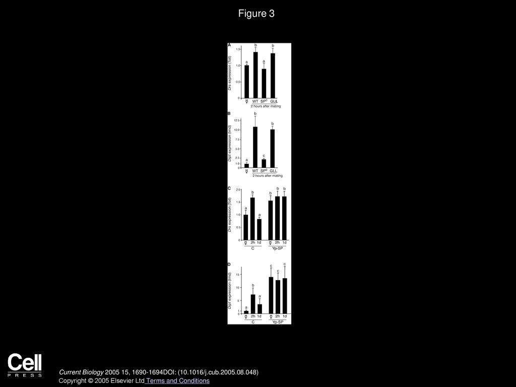 Drosophila Sex Peptide Stimulates Female Innate Immune System After