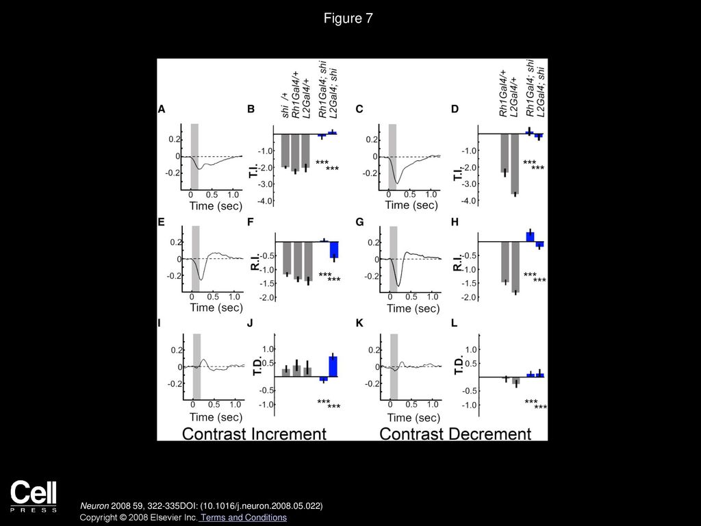 Motion Processing Streams in Drosophila Are Behaviorally Specialized ... Motion Processing Streams in Drosophila Are Behaviorally Specialized ...