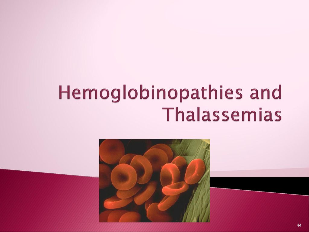 Of Hematological Disorders Ppt Download