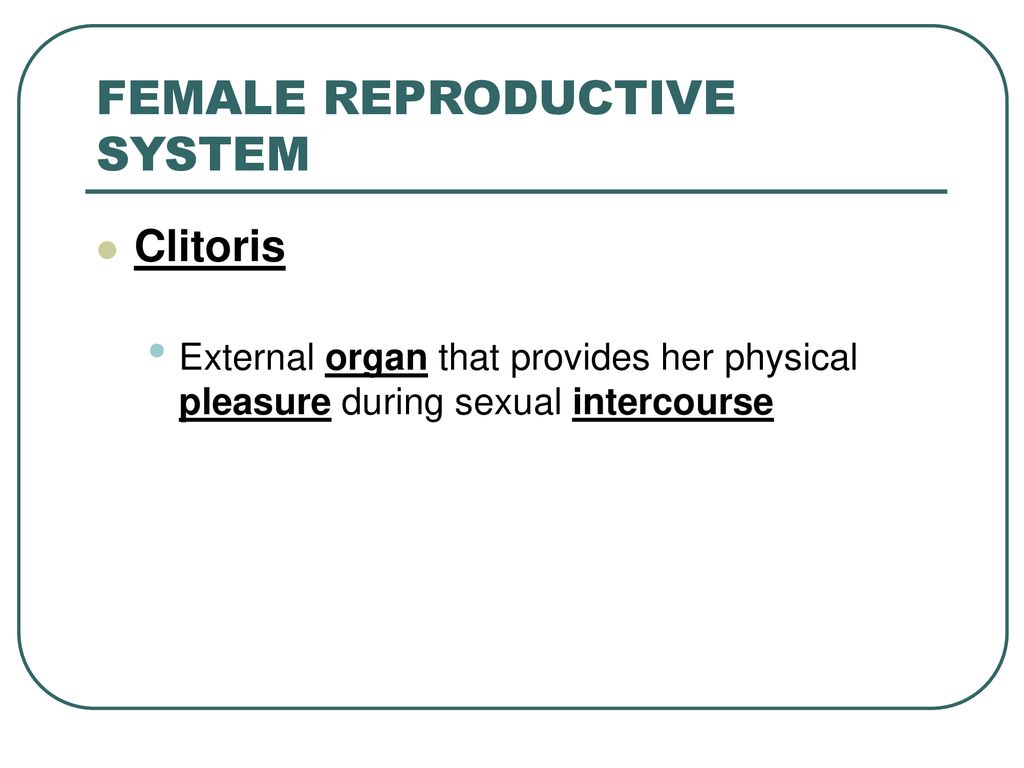 Female Reproductive System Ppt Download
