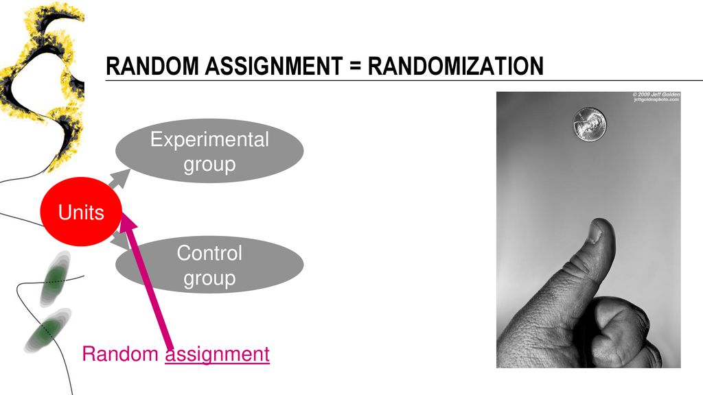 Concepts to be included - ppt download
