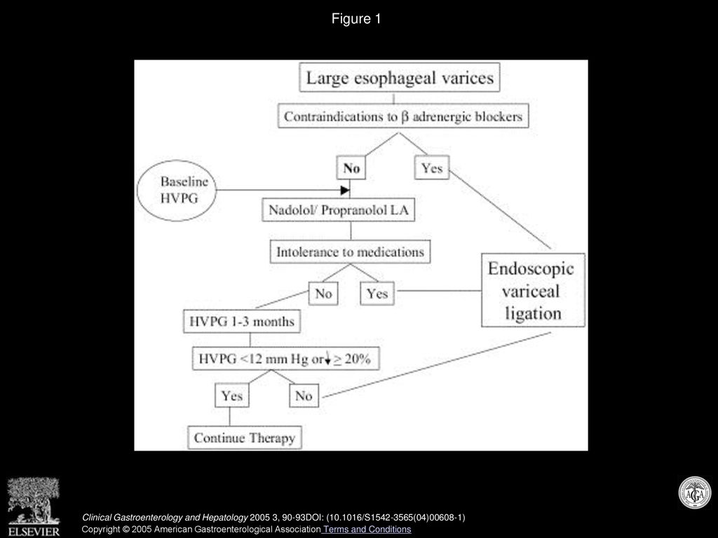 Esophageal Variceal Bleeding Primary Prophylaxis Ppt Download