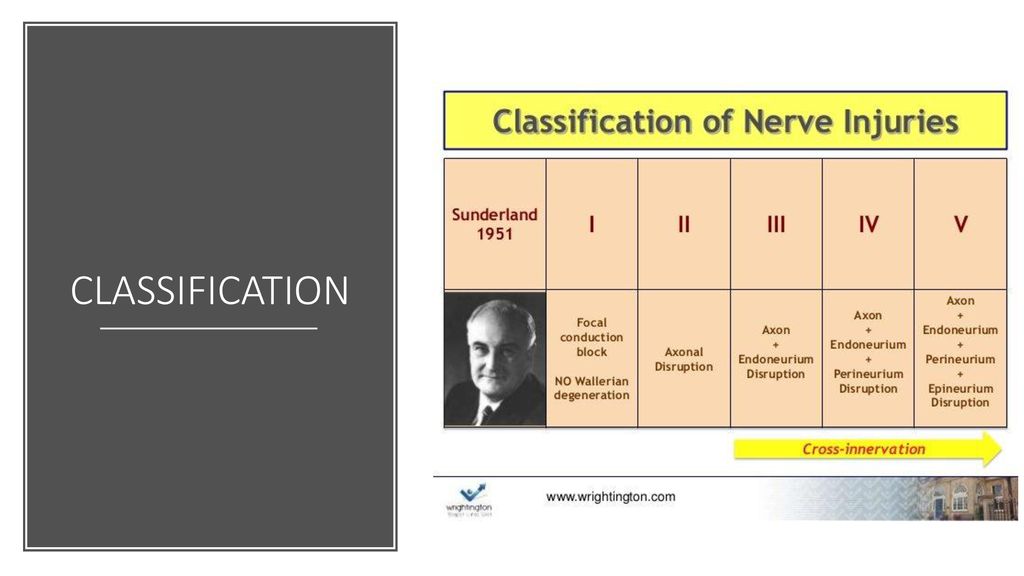 Peripheral Nerve Injuries Ppt Download