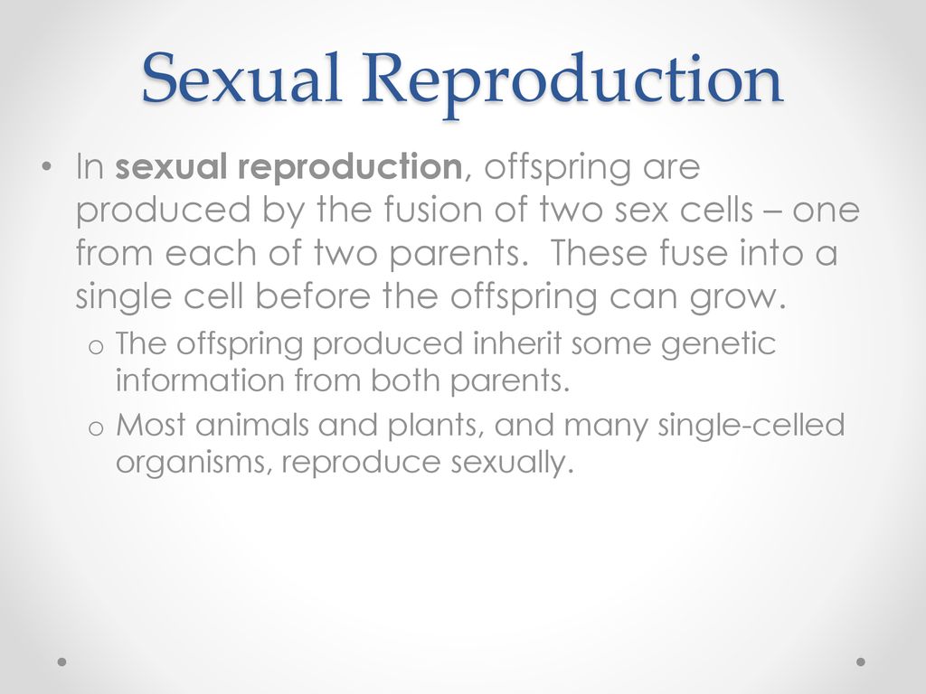 Introduction To Biology Ppt Download