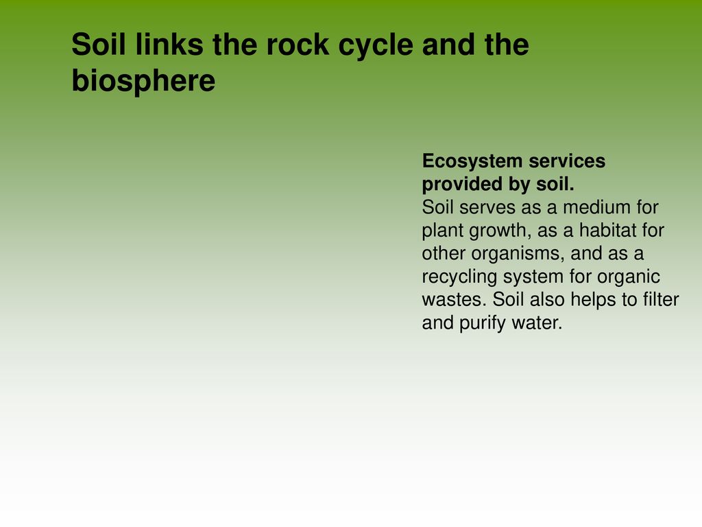 Chapter 8 Earth Systems Friedland And Relyea Environmental Science For