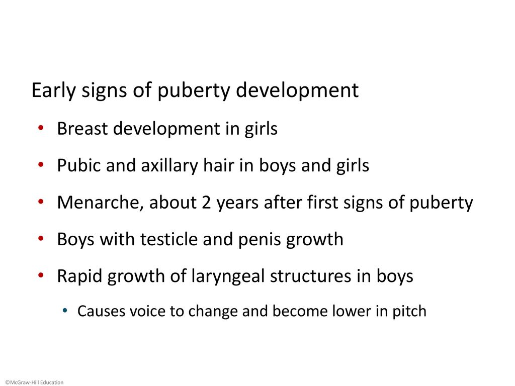 Reproductive System Male Ppt Download