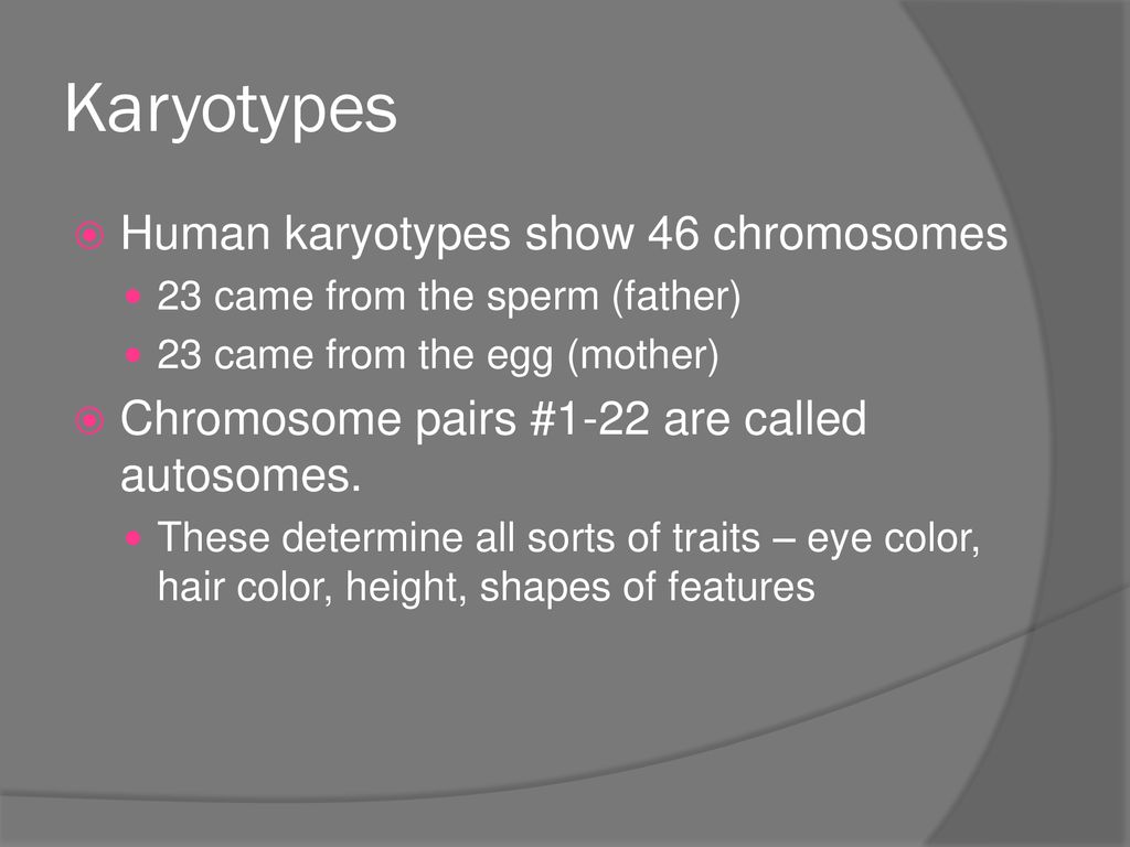 Ch 11 Mendelian Genetics Ppt Download