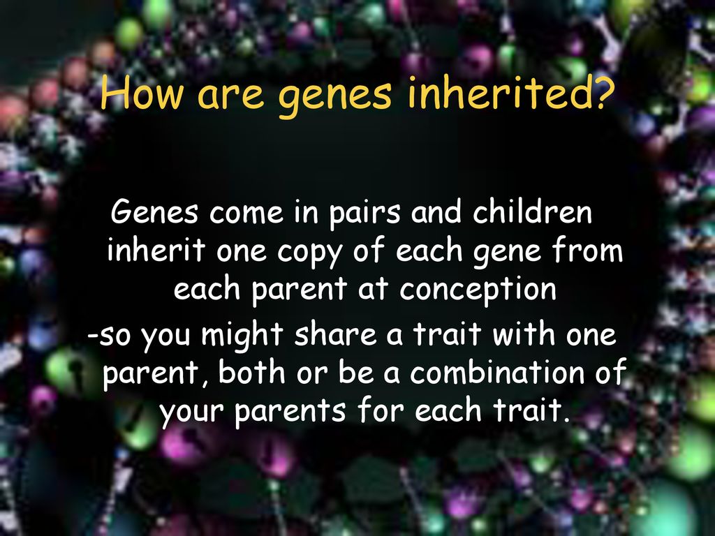 DNA, Chromosomes & Genes - ppt download DNA, Chromosomes & Genes - ppt download