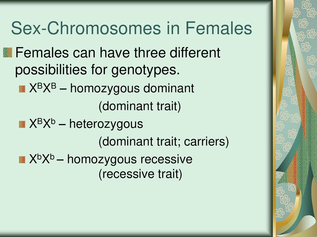 Sex Linked Inheritance Ppt Download